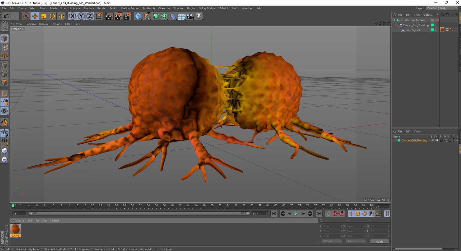 3D Cancer Cell Dividing Model - TurboSquid 2201899