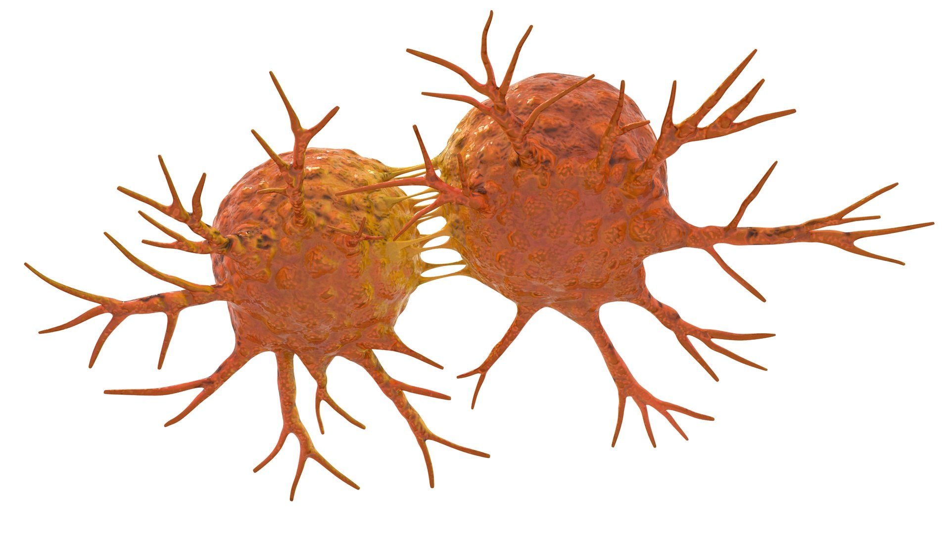 3D Cancer Cell Dividing Model - TurboSquid 2201899