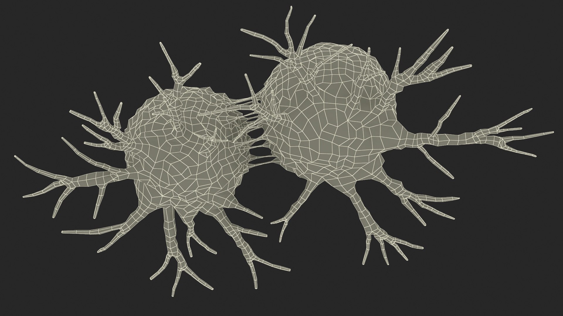 3D Cancer Cell Dividing Model - TurboSquid 2201899