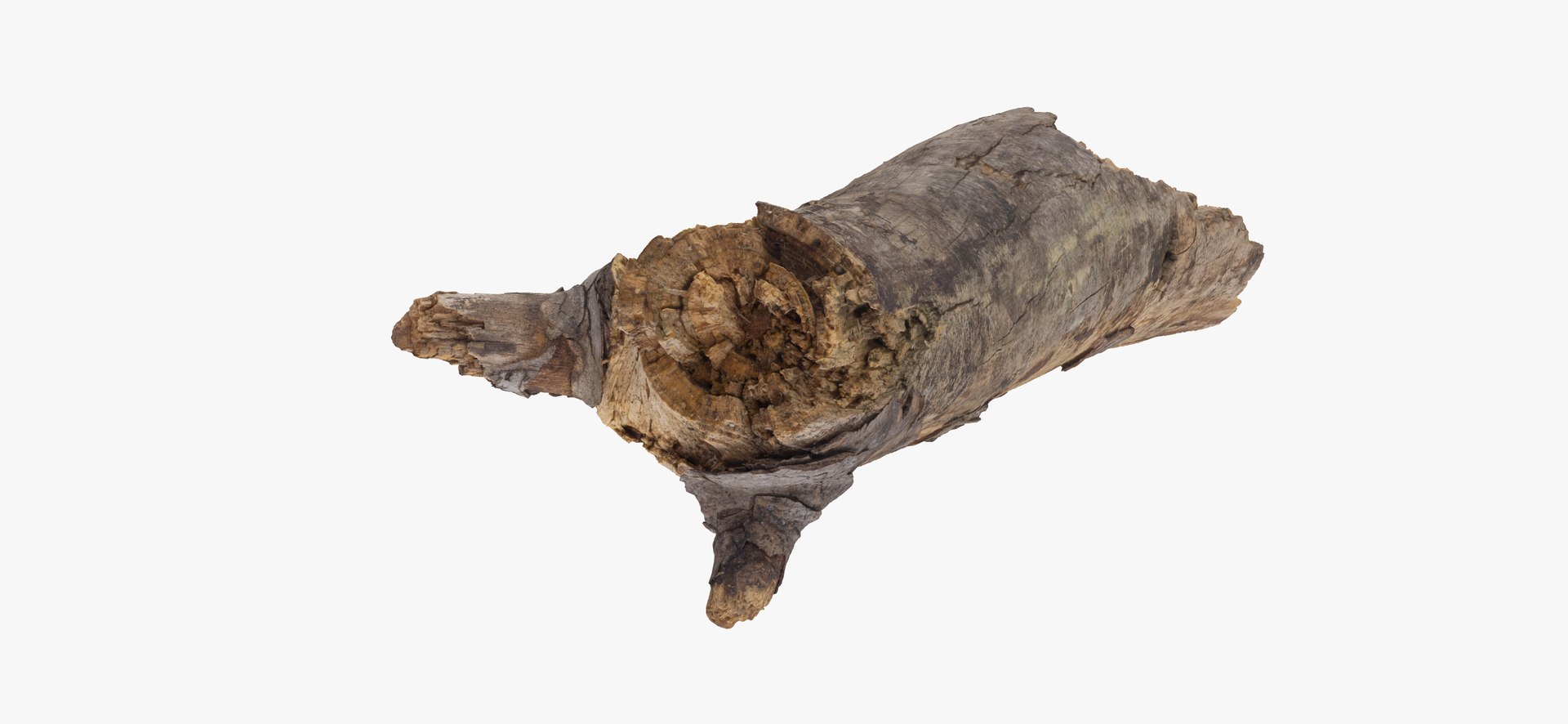 3D Broken Wooden Stick 01 Model - TurboSquid 1533477