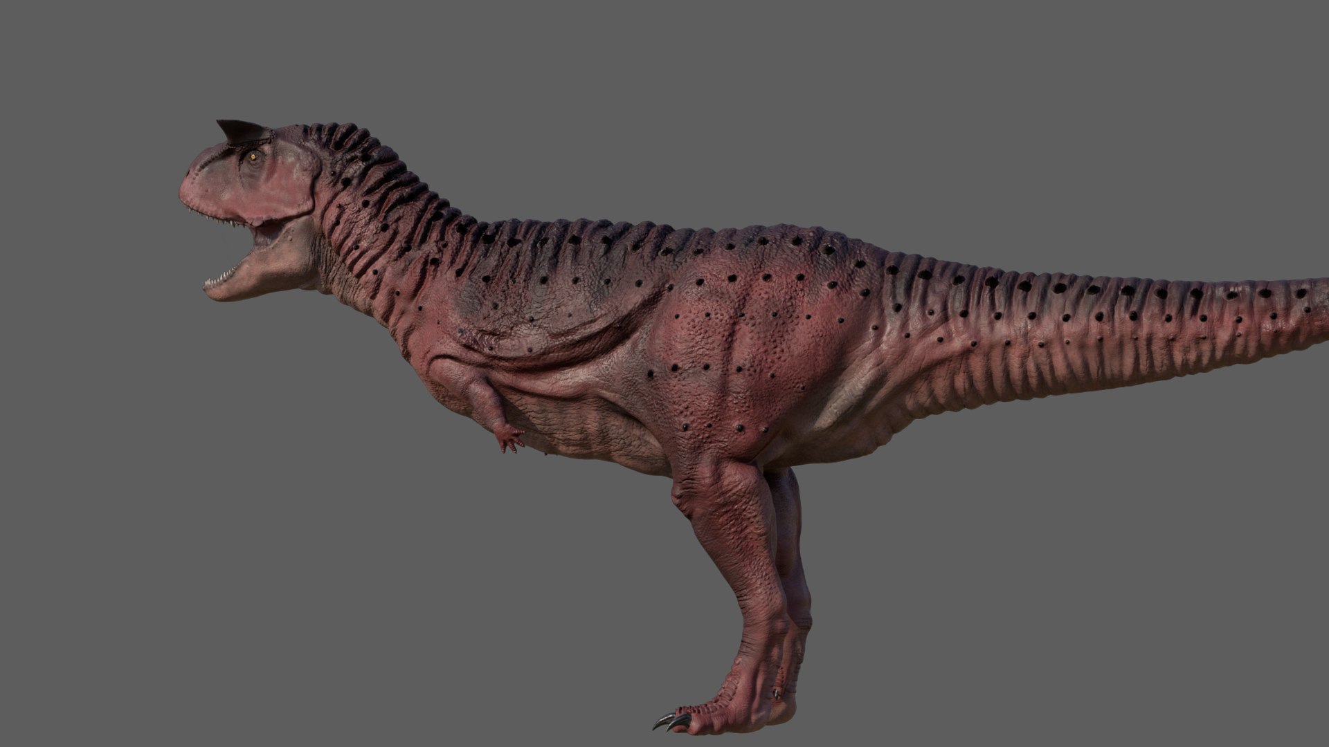 3D Carnotaurus Sastrei - TurboSquid 1311056