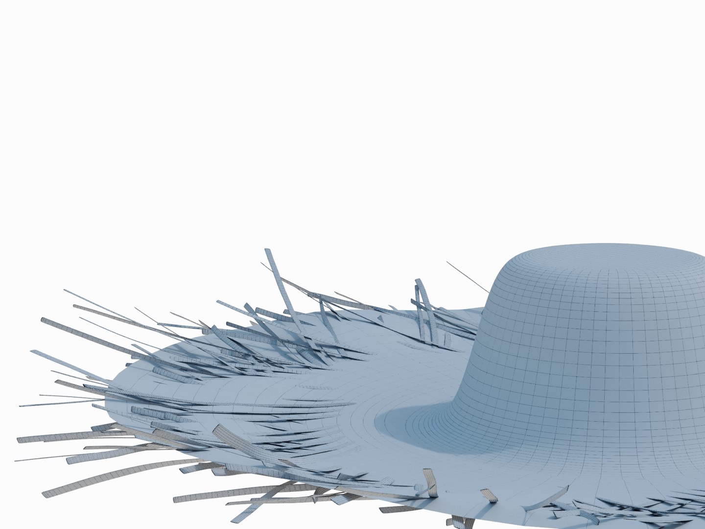 3d Model Straw Hat