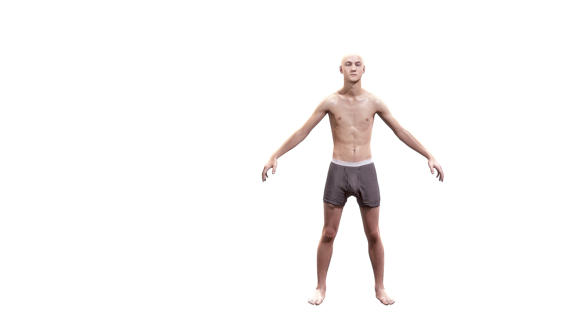 3d man character body anatomy model