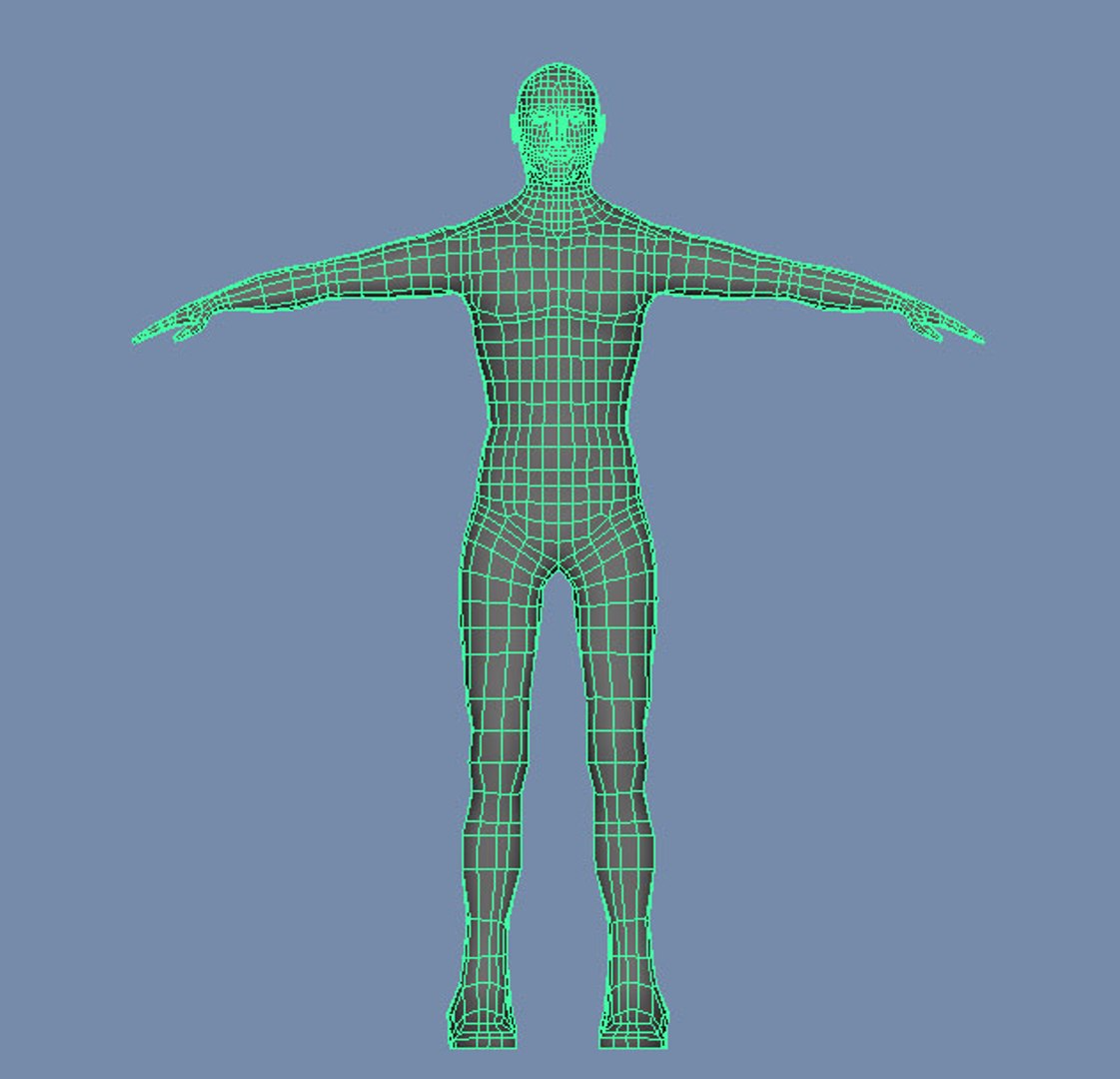 3d Basic Human Male Body