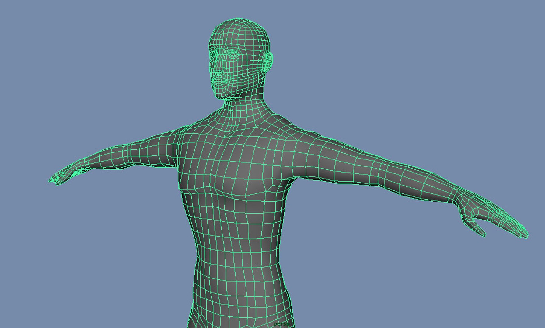 3d Basic Human Male Body