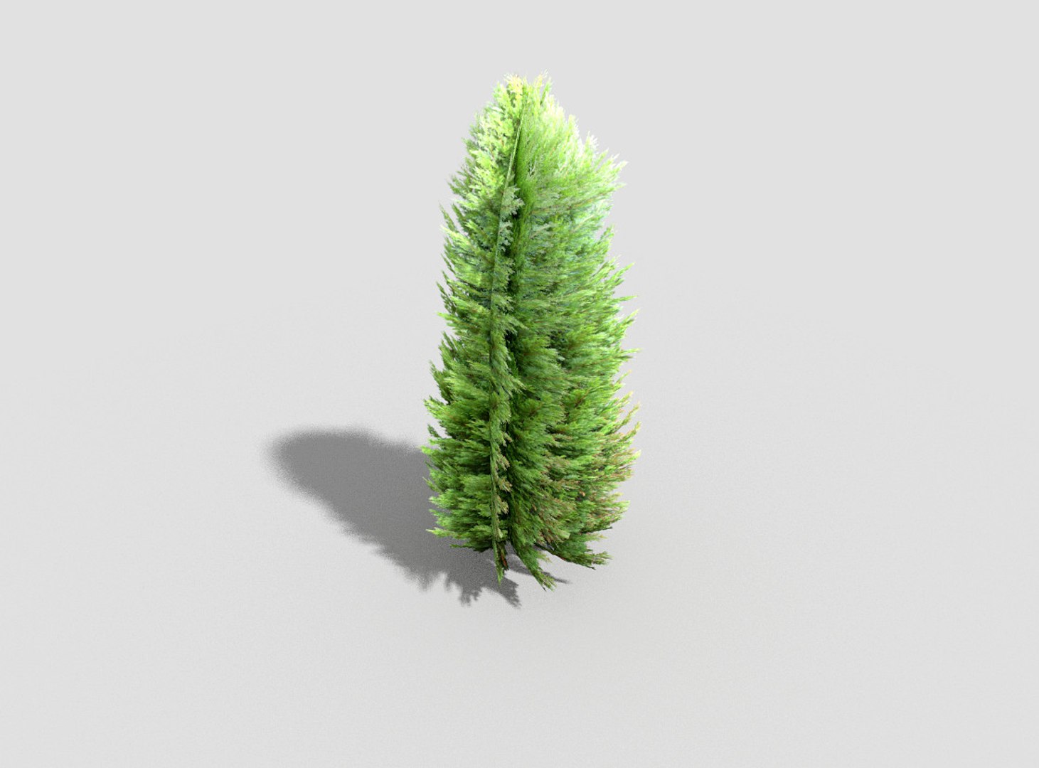3d Games Tree