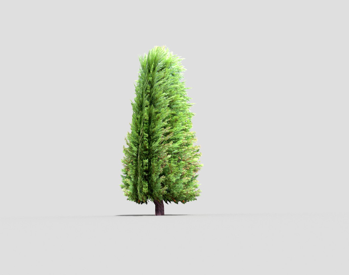3d Games Tree
