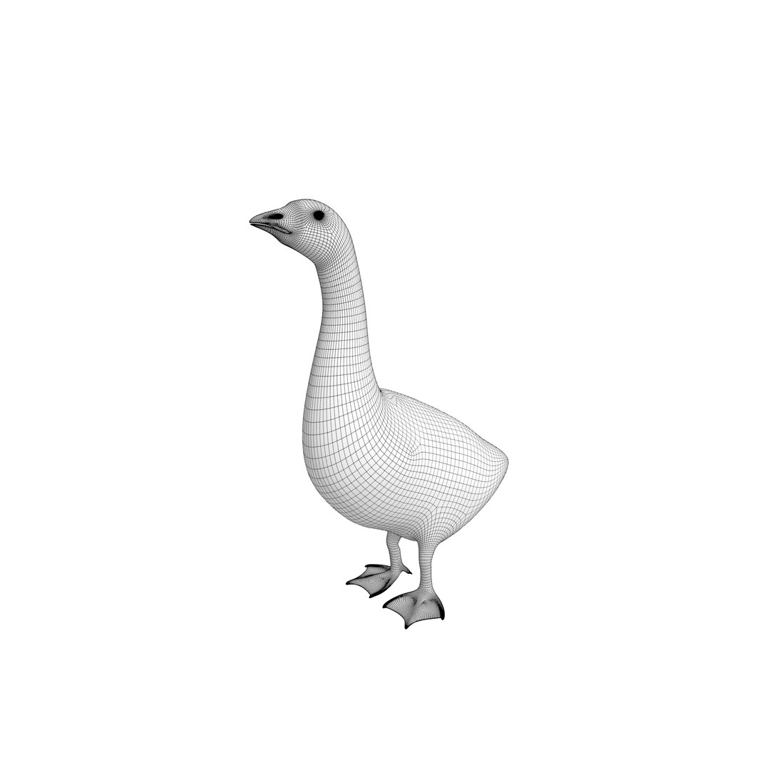 Bird Duck Goose Rig Model - TurboSquid 1318186