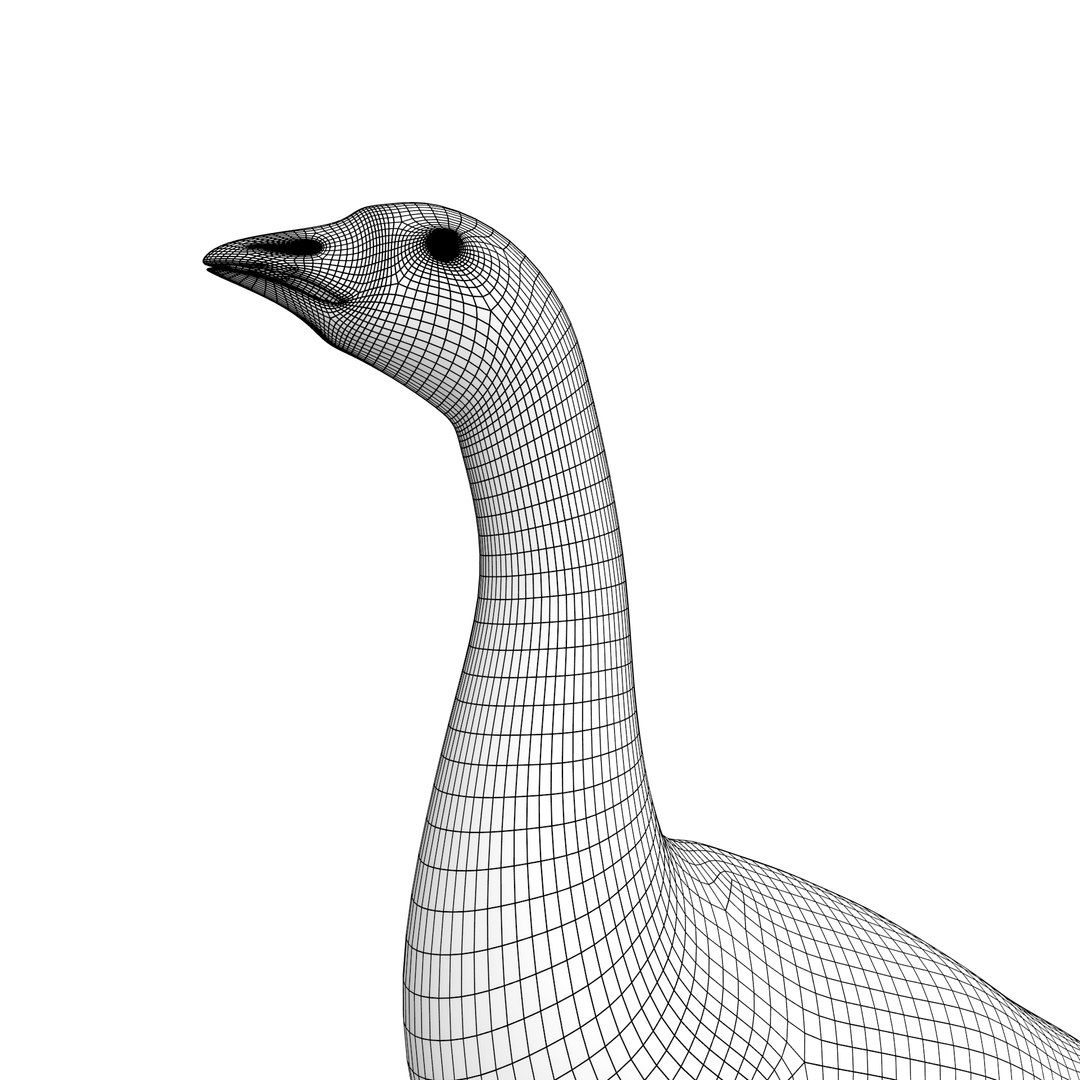 Bird Duck Goose Rig Model - TurboSquid 1318186