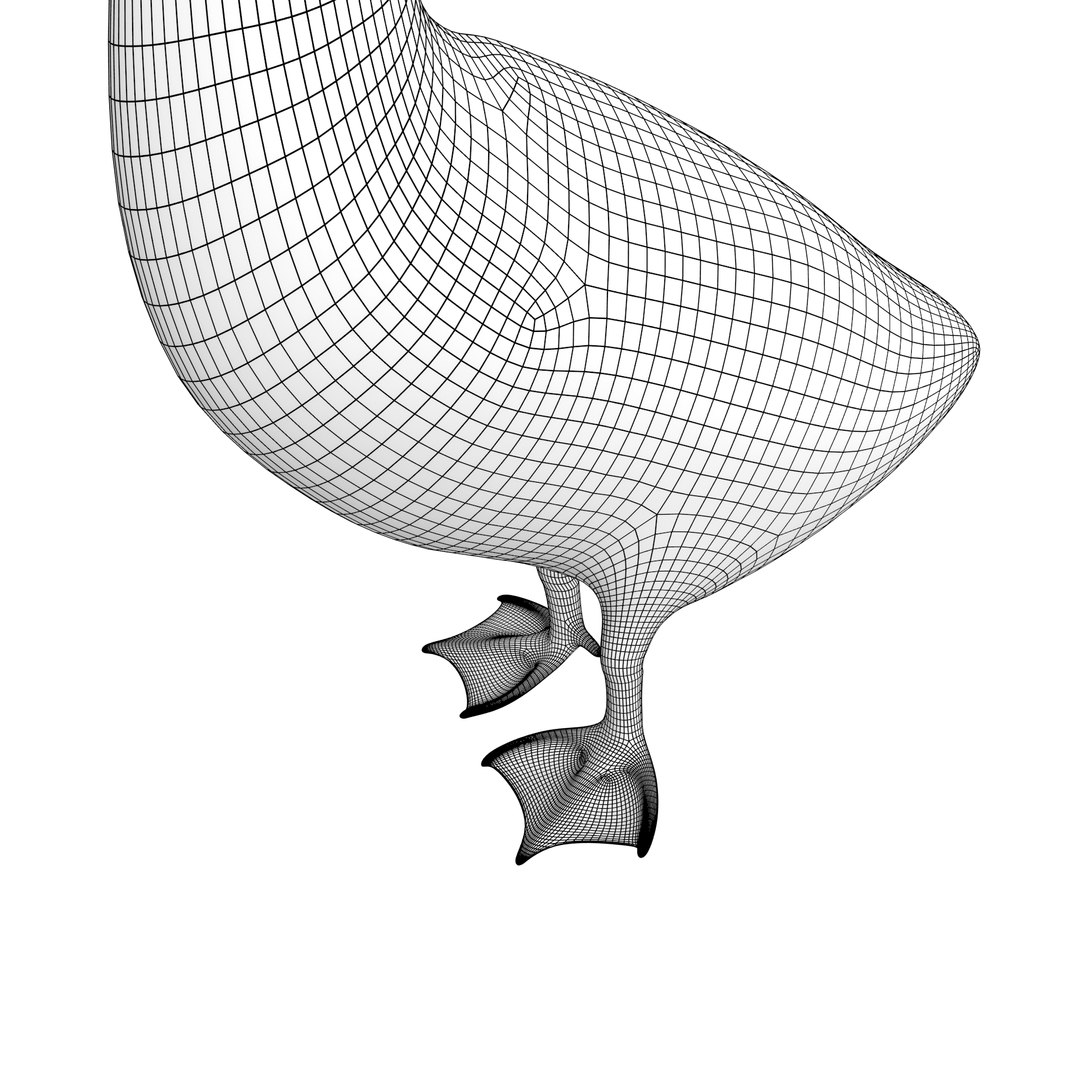 Bird Duck Goose Rig Model - TurboSquid 1318186