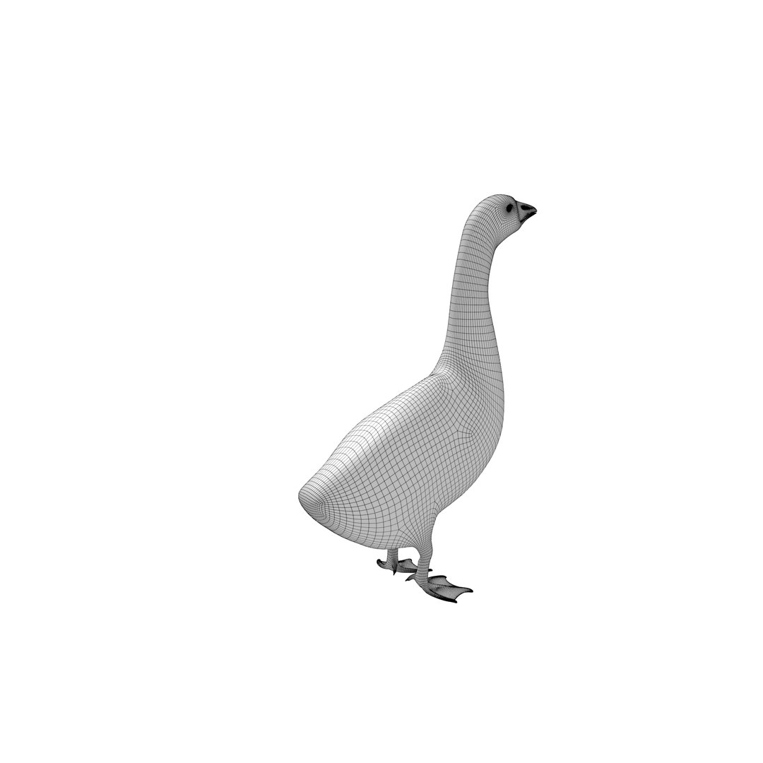 Bird Duck Goose Rig Model - TurboSquid 1318186
