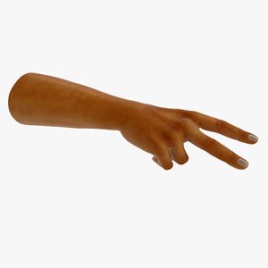 Free 3D Hand Models | TurboSquid