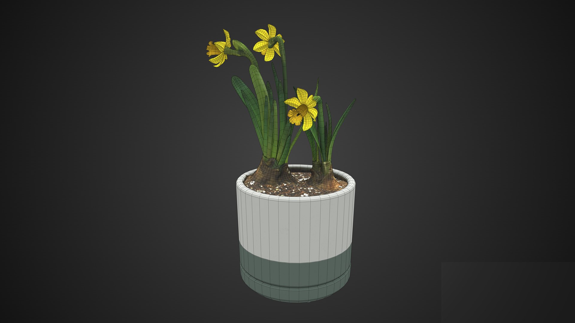 3D Game Ready Daffodil Pot Model - TurboSquid 2082634