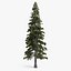 fir-tree 3d model