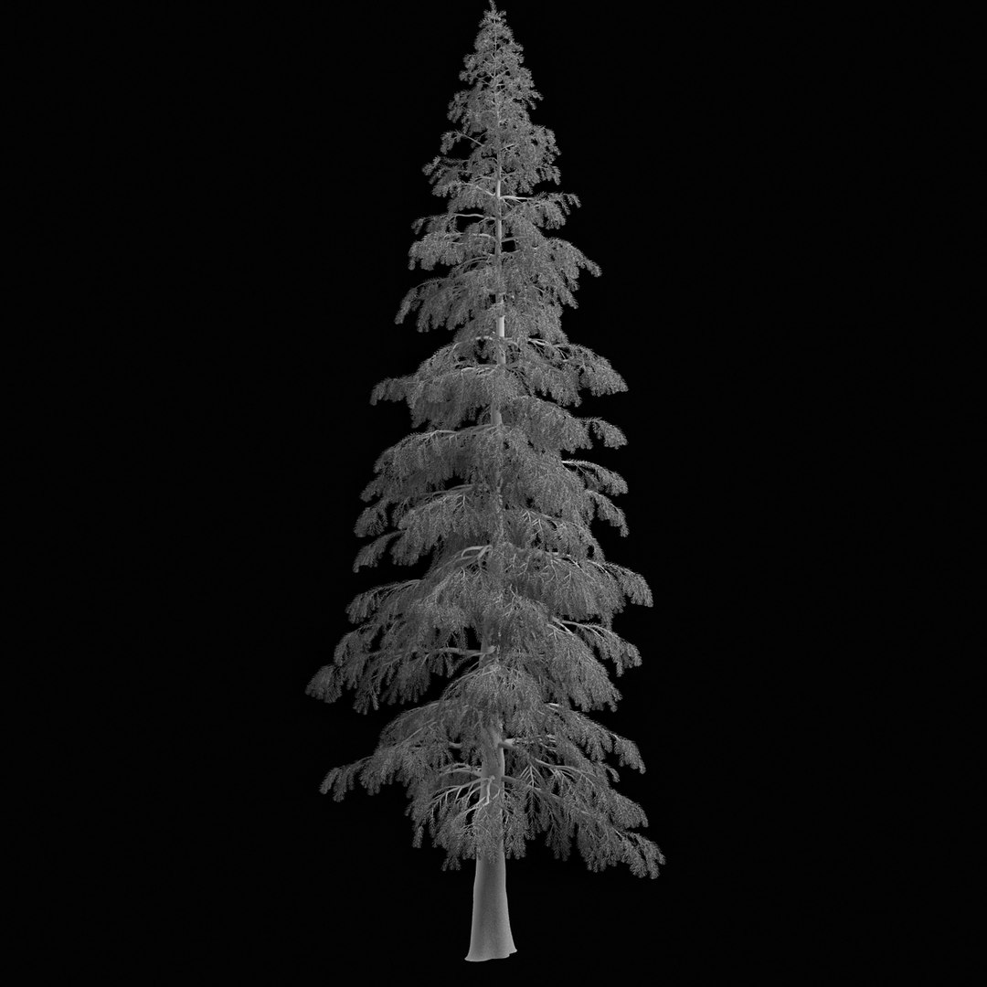 fir-tree 3d model