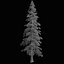 fir-tree 3d model