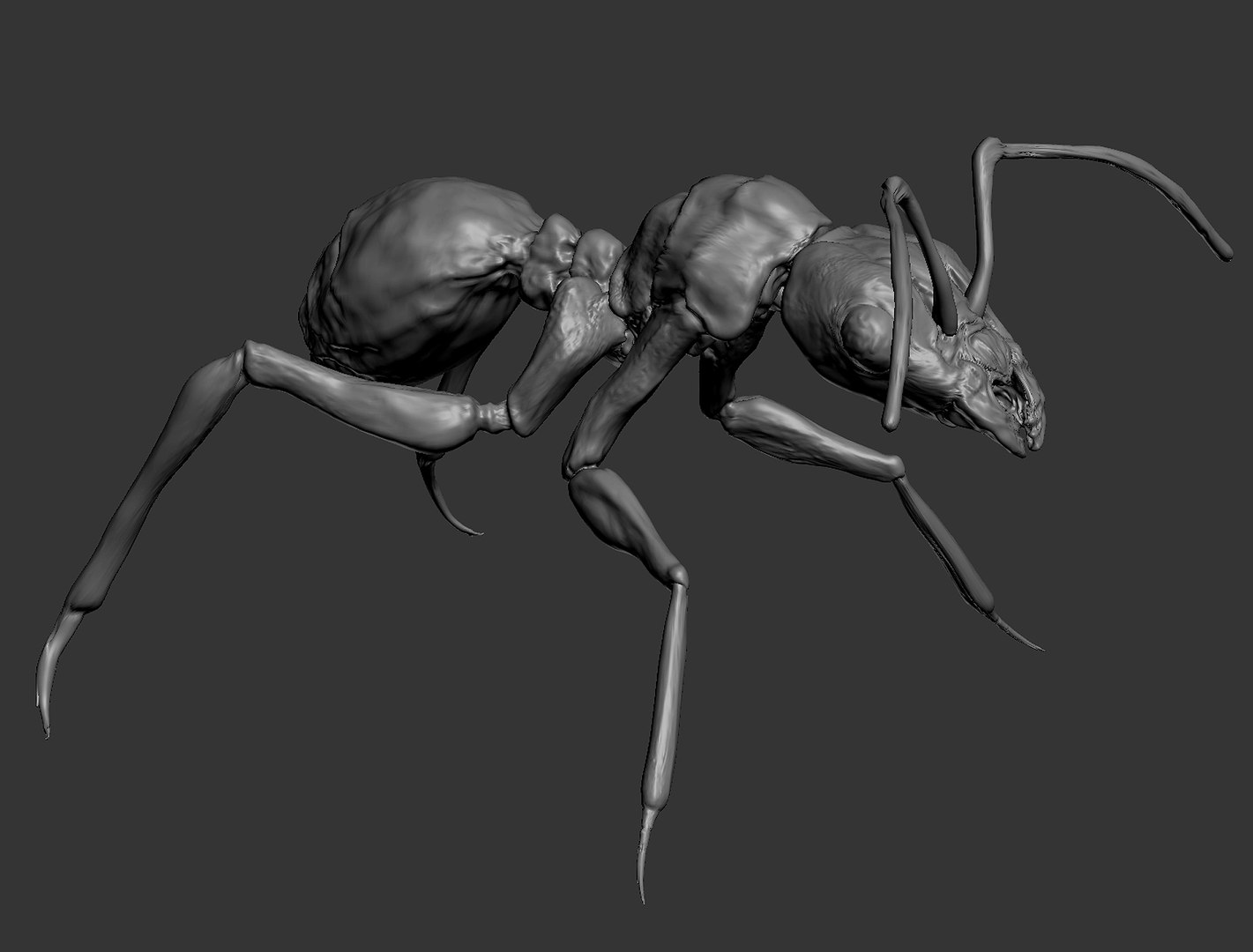 Ant 3D Model - TurboSquid 1894924