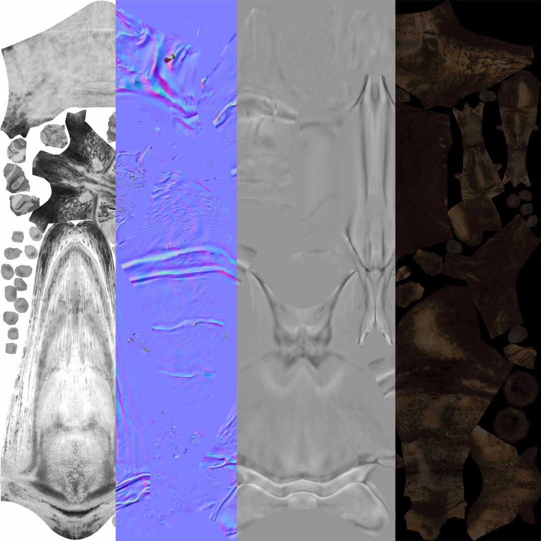 Ant 3D Model - TurboSquid 1894924