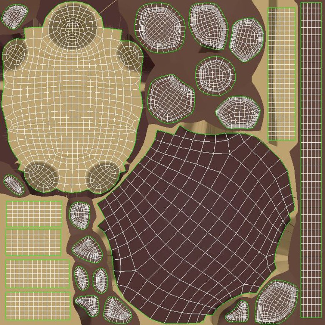 Turtle Shell 3D Model - TurboSquid 1327710