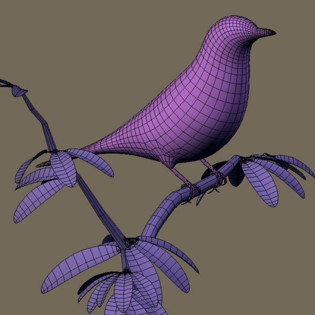 3d 3ds American Robin Birds Ab