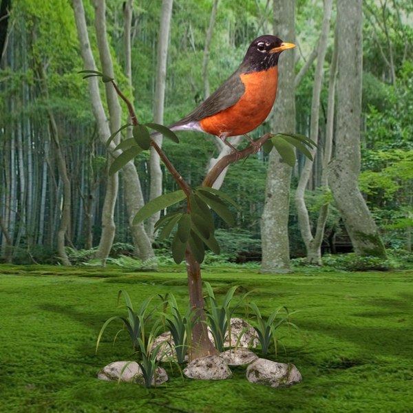 3d 3ds american robin birds ab