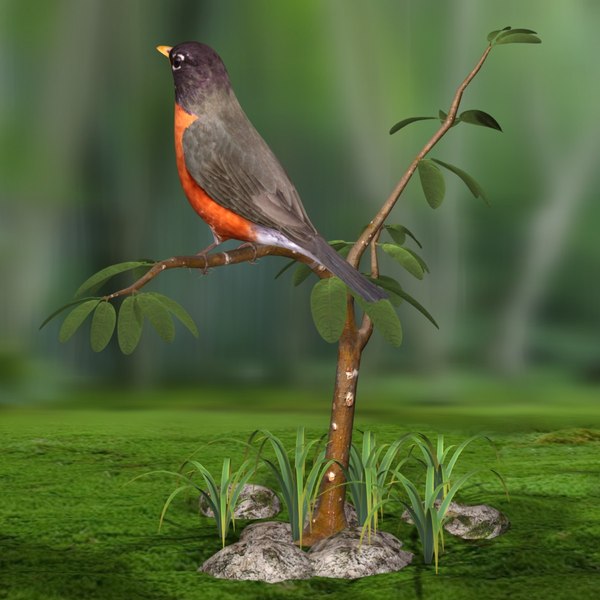 3d 3ds american robin birds ab