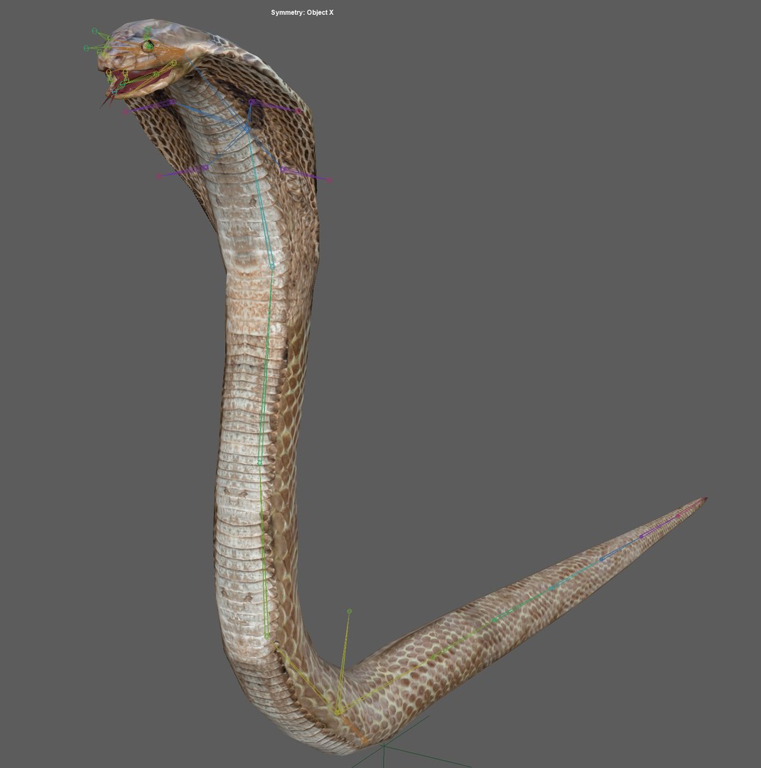 King Cobra 3D - TurboSquid 2094136