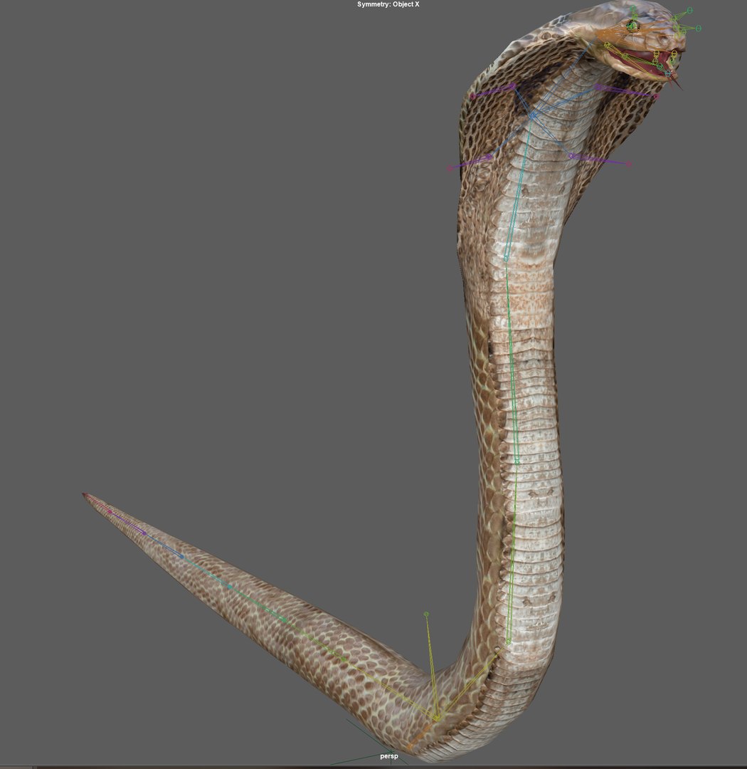 King Cobra 3D - TurboSquid 2094136