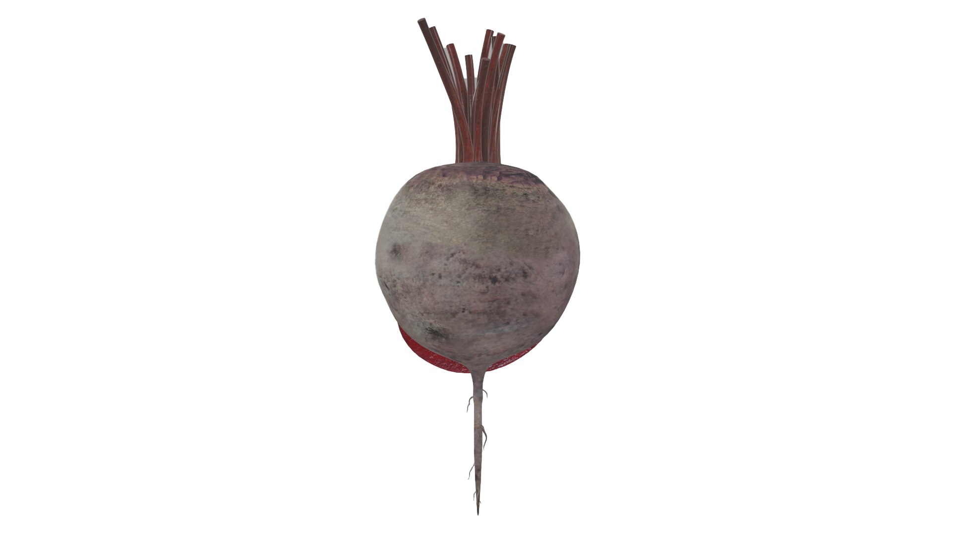 3D Beetroot And Beetroot Slice - TurboSquid 2011238
