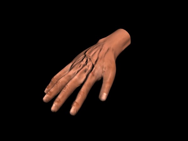 modelo 3d Mano baja poli - TurboSquid 799827