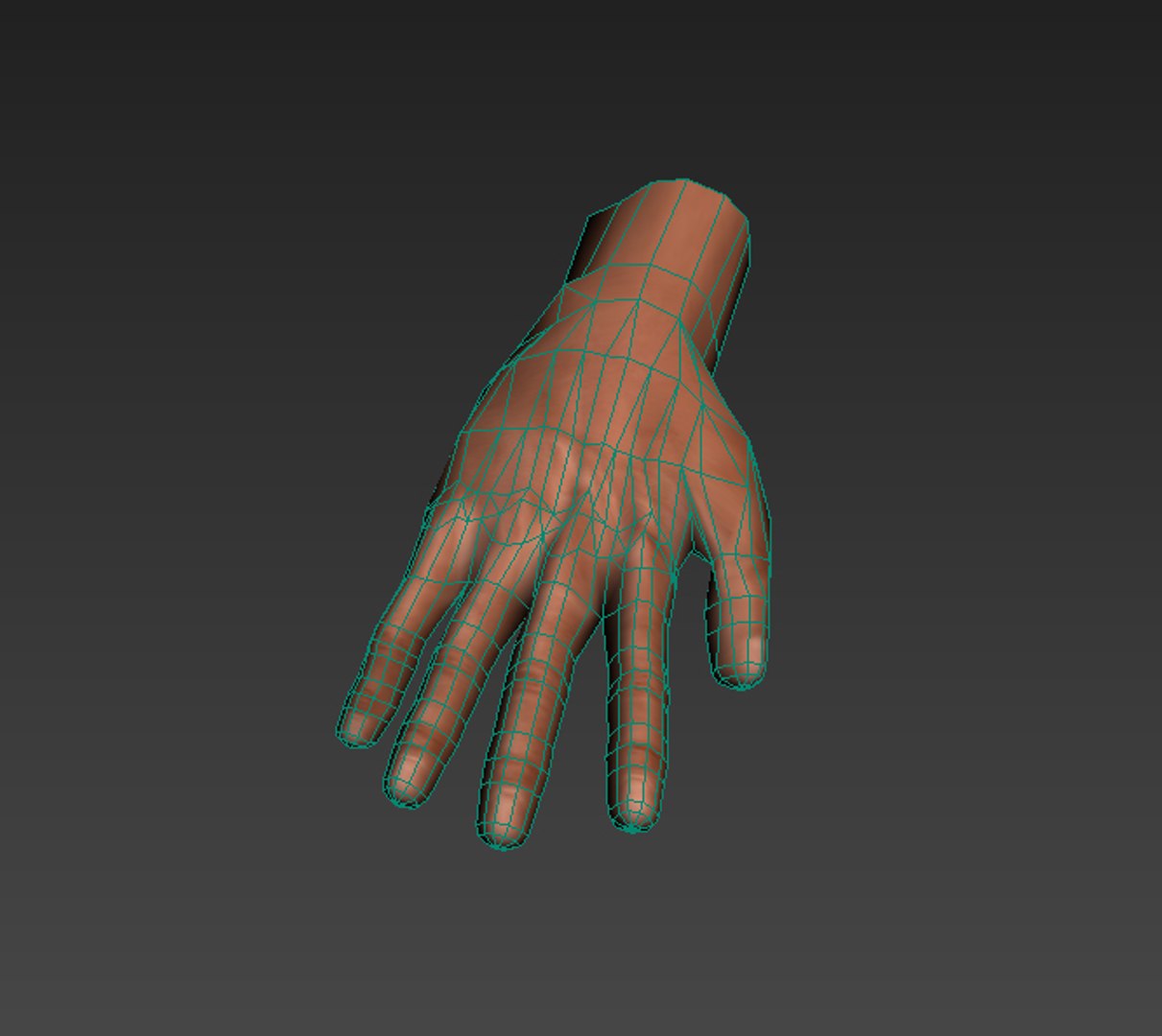 3d Hand