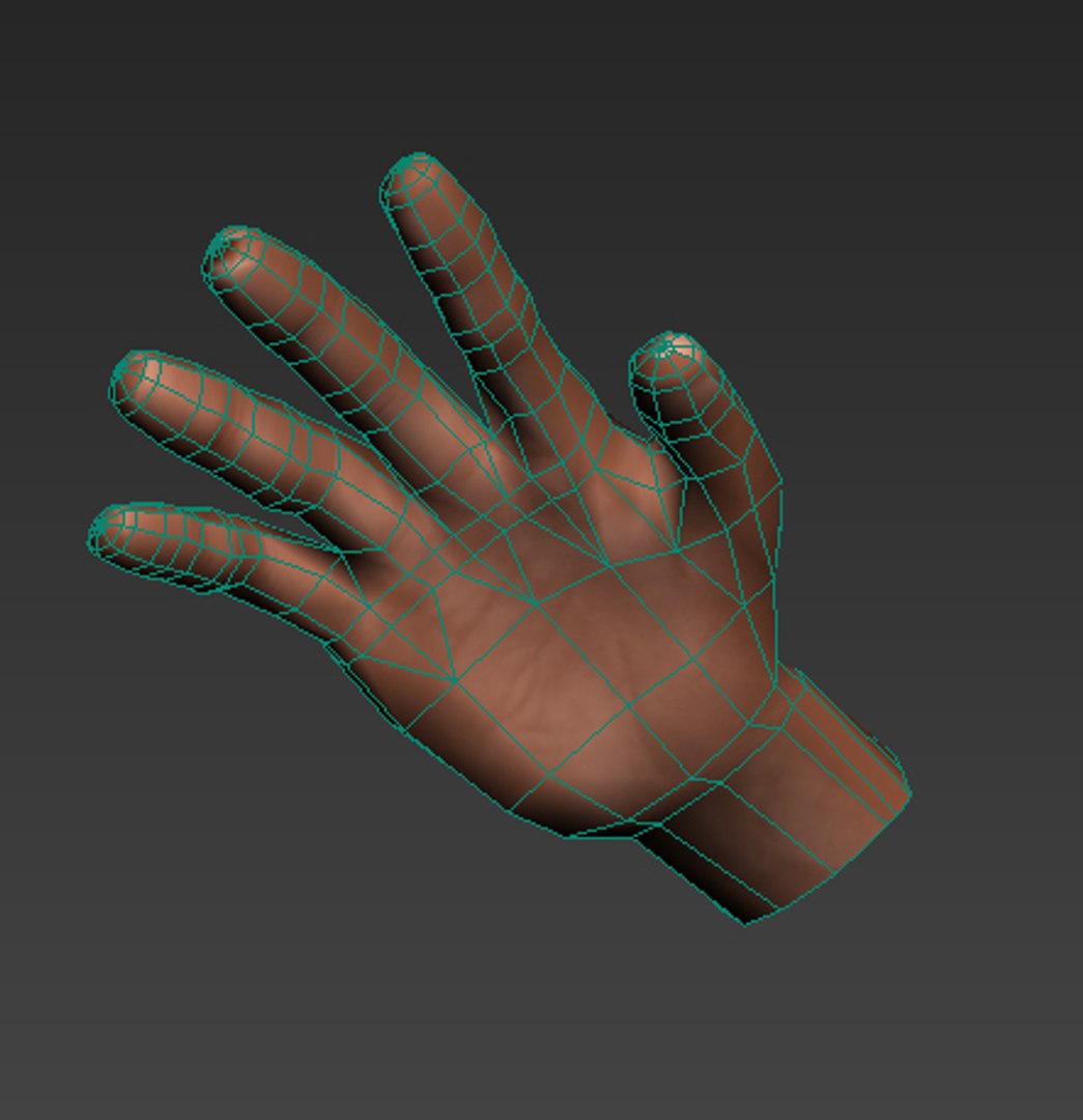 3d Hand