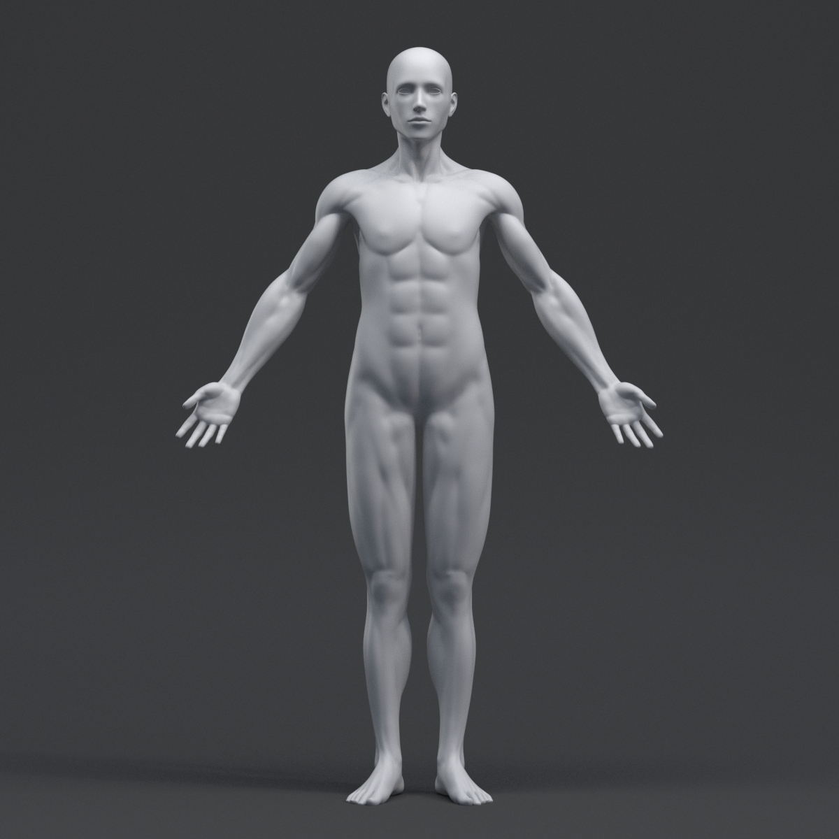 free human simulation 3d model
