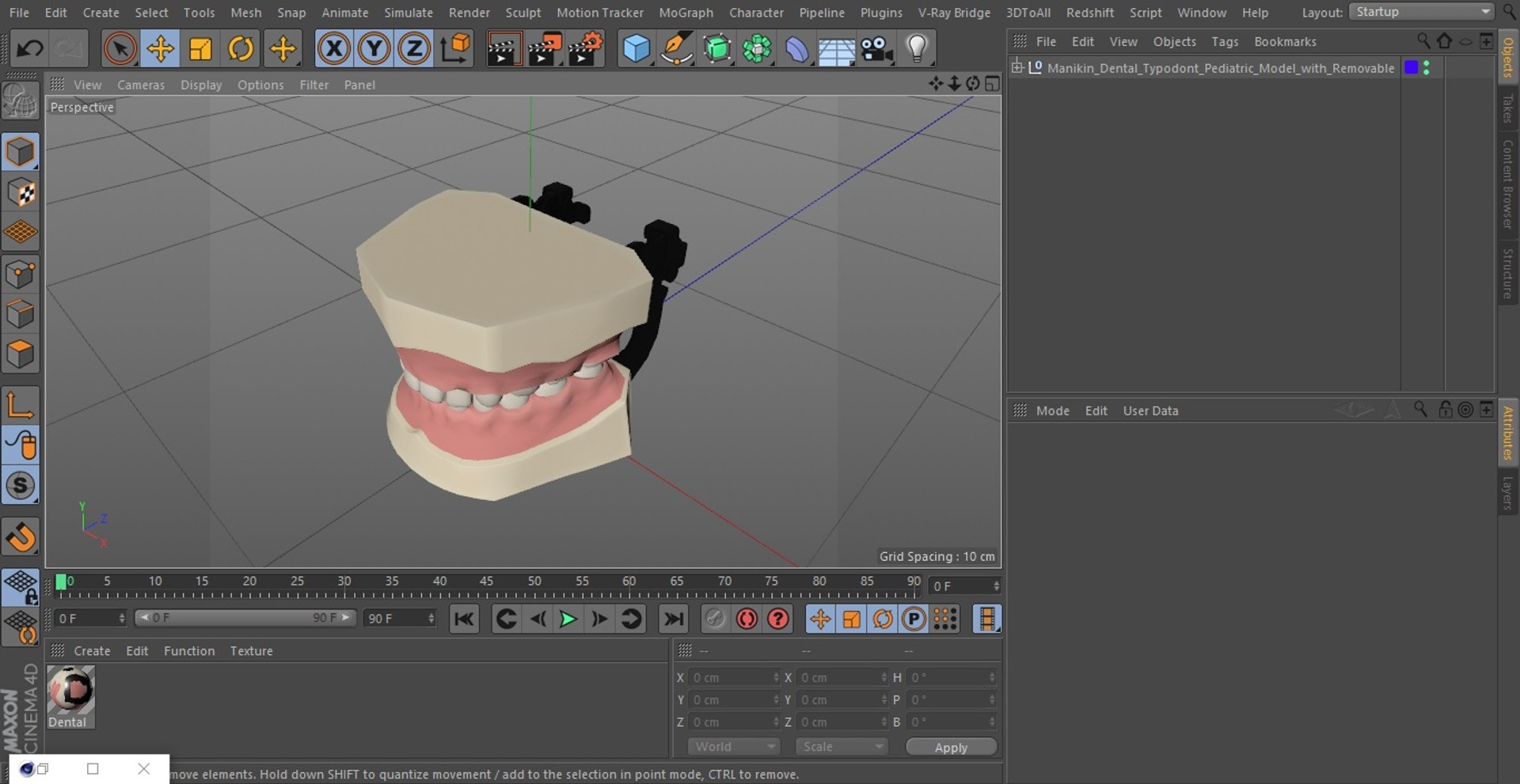 Manikin Dental Typodont Pediatric Model with Removable Overbite Teeth ...