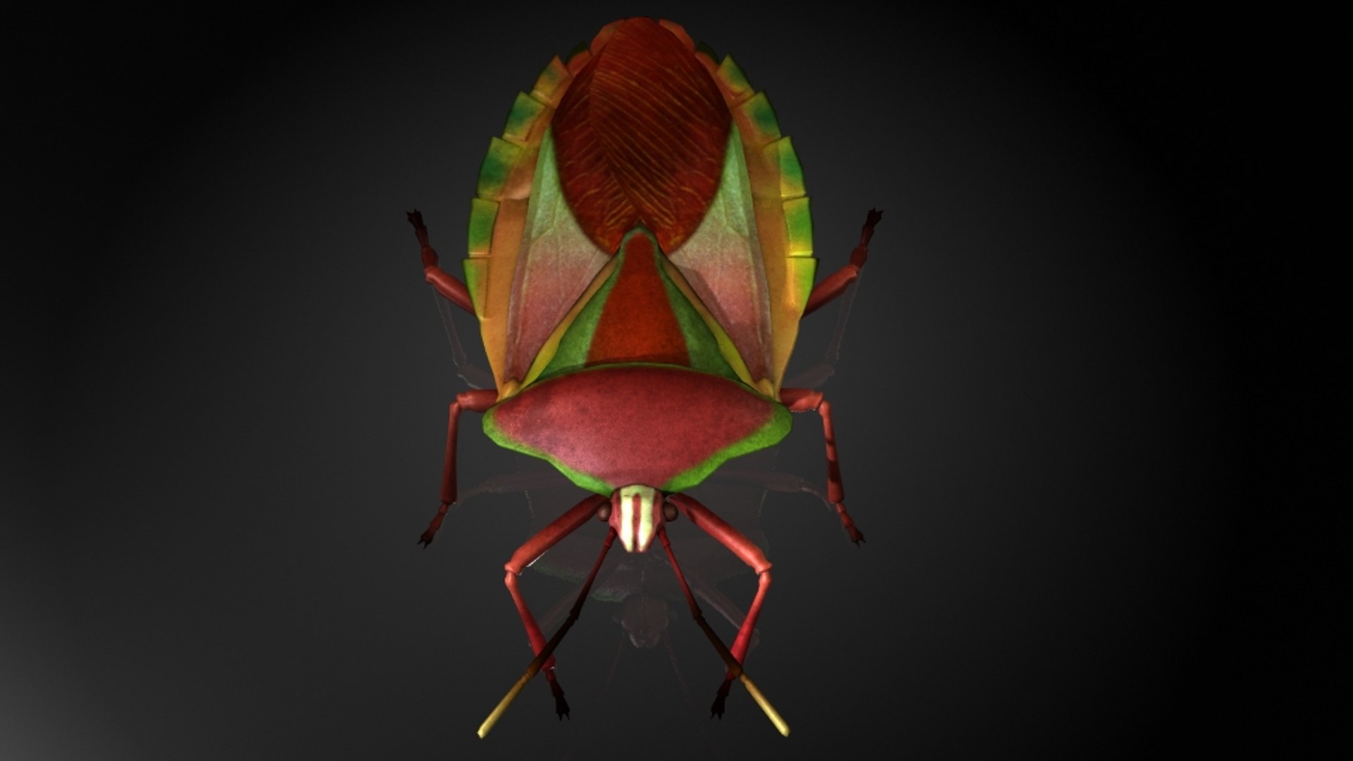 3D Insect - TurboSquid 1214270