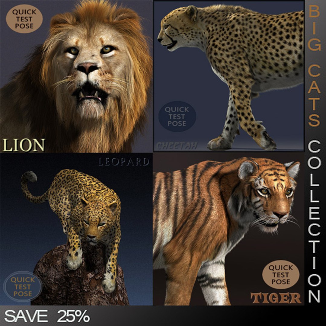 Big Cats Cheetah Leopard Obj