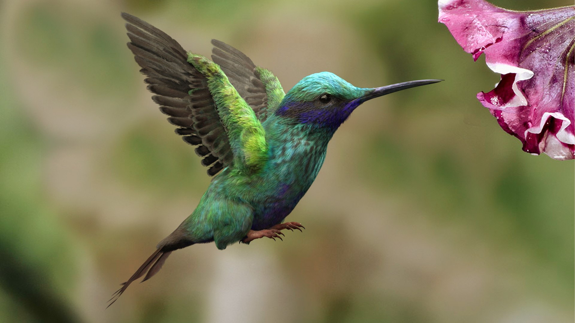 3D realistic hummingbird rigged model - TurboSquid 1516225