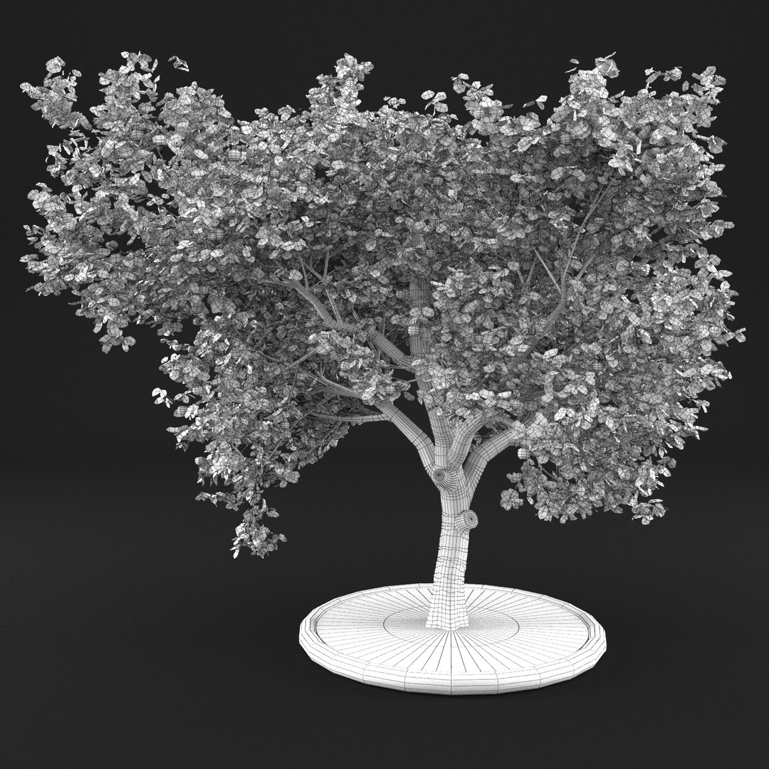 Apple Tree Model - TurboSquid 1159244