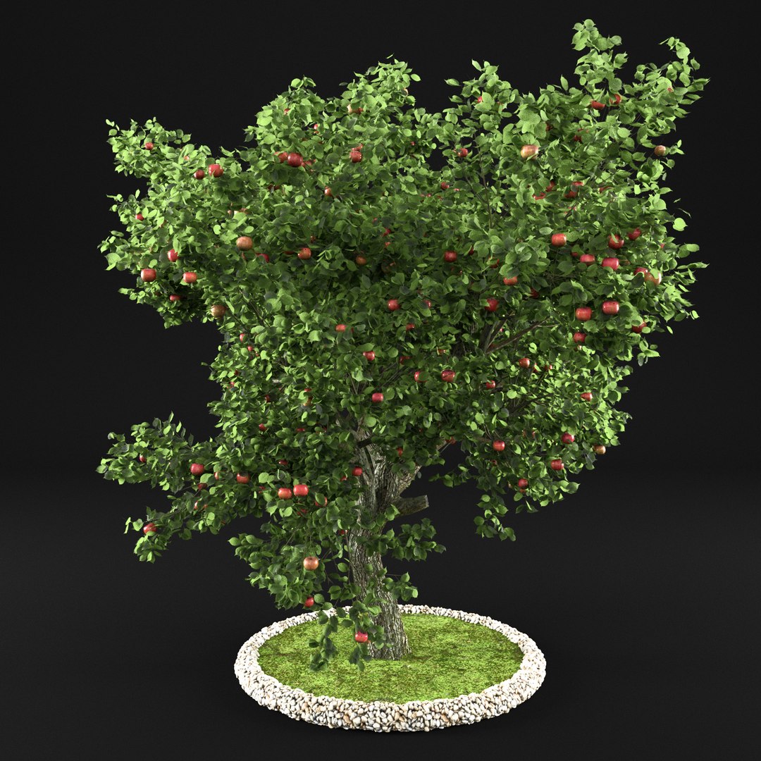 Apple Tree Model - TurboSquid 1159244