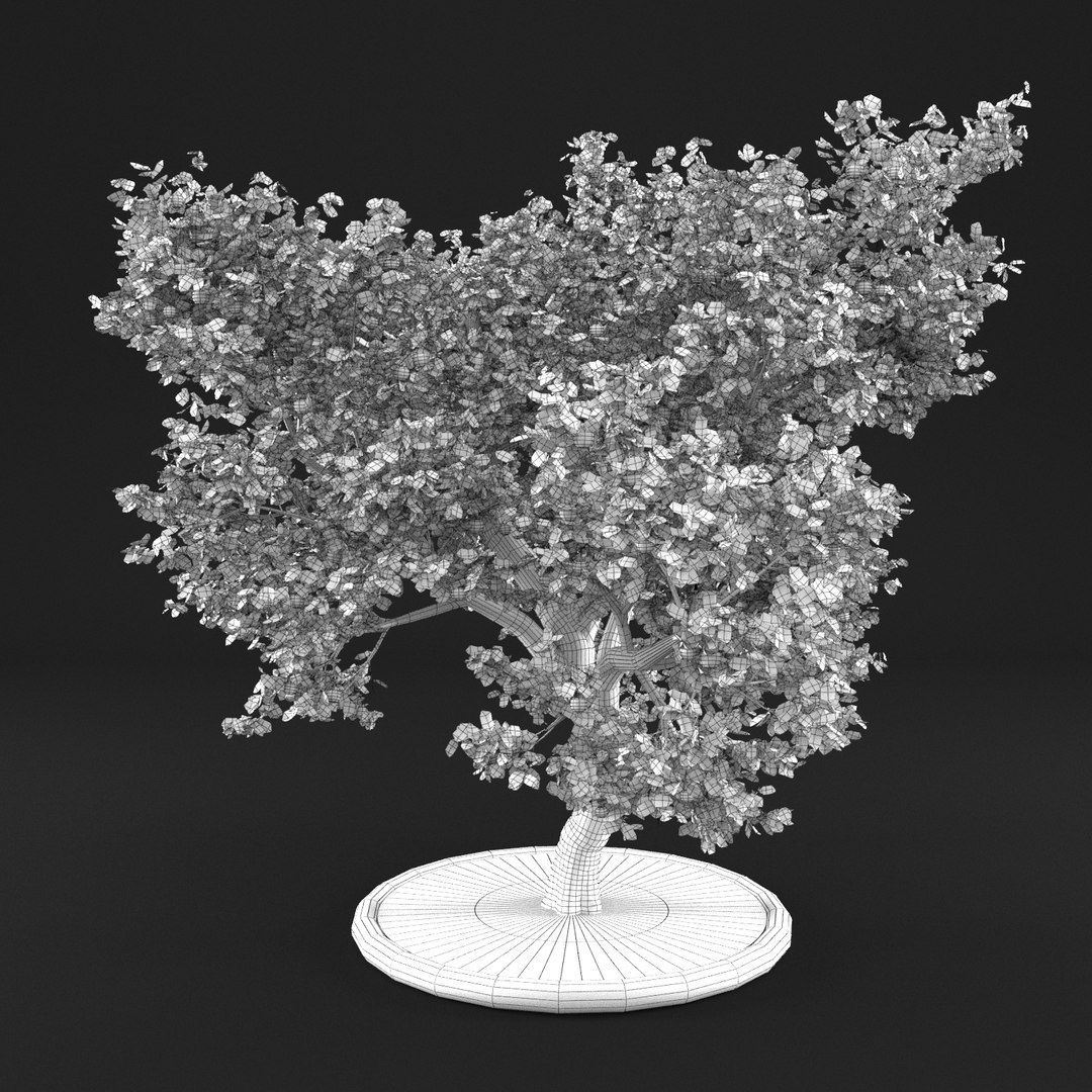 Apple Tree Model - TurboSquid 1159244