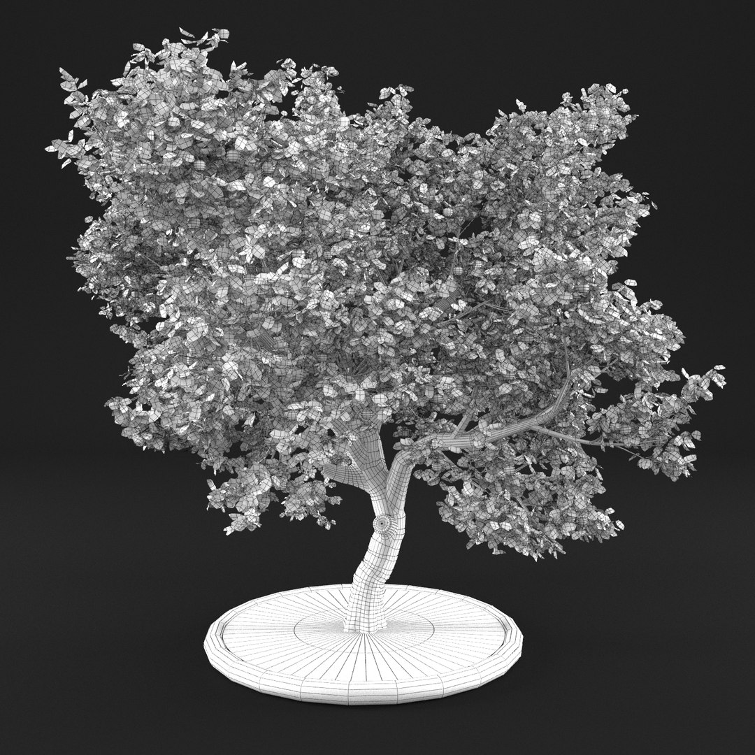 Apple Tree Model - TurboSquid 1159244