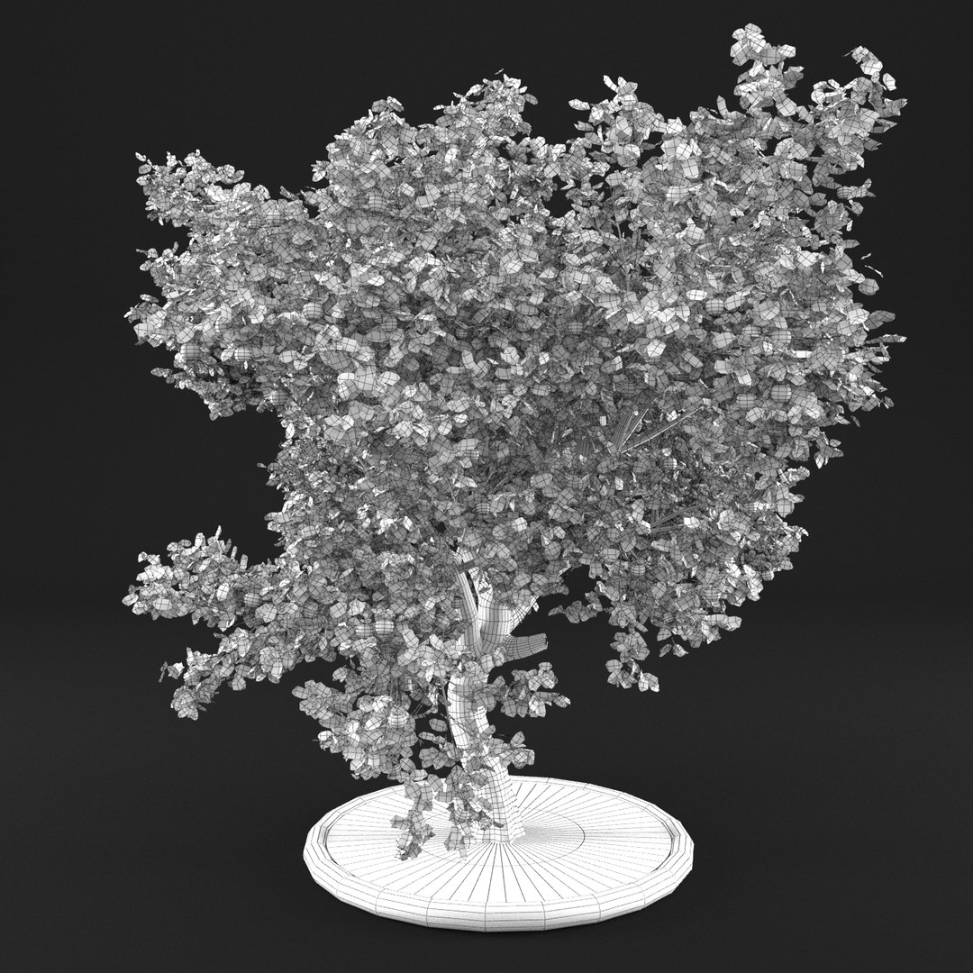 Apple Tree Model - TurboSquid 1159244