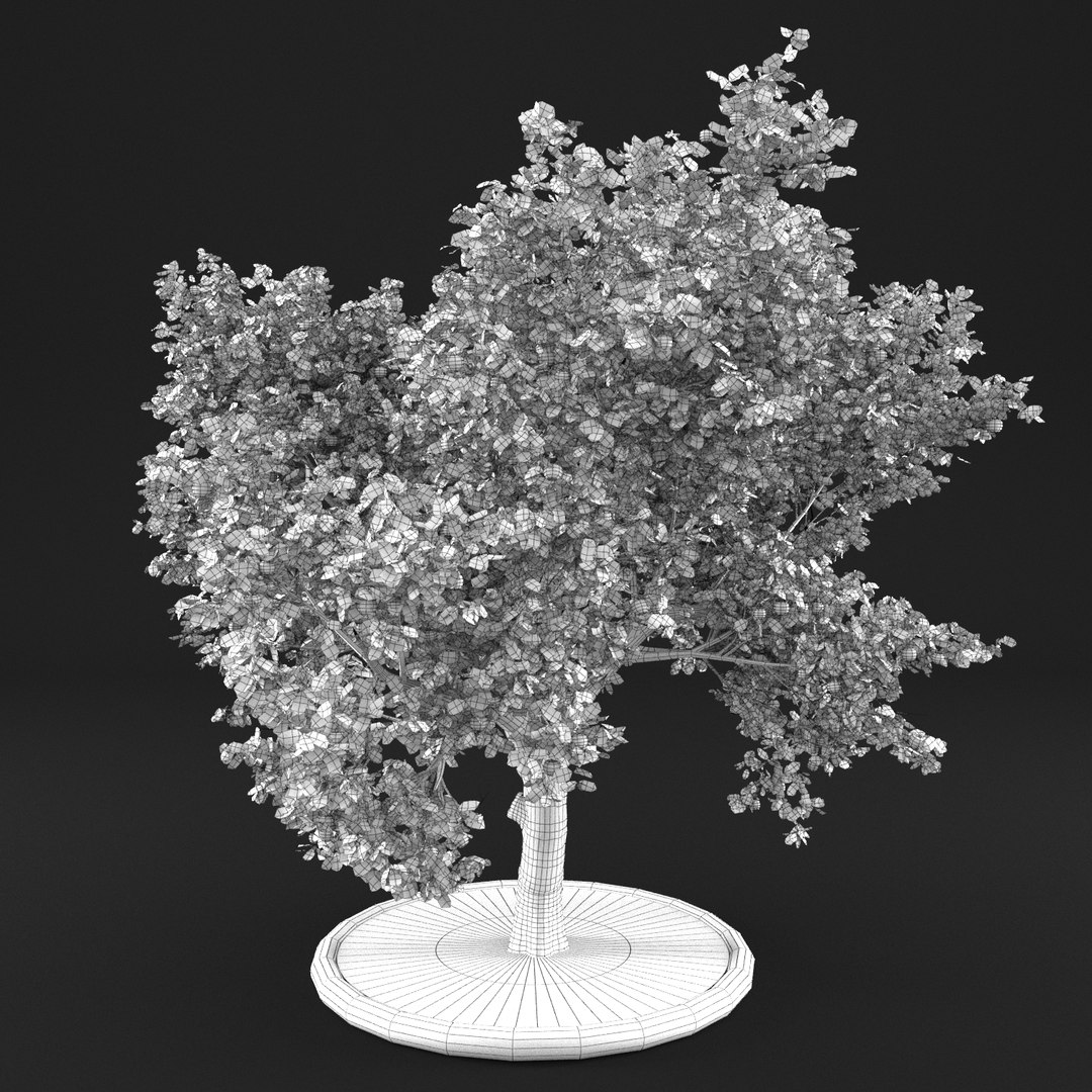 Apple Tree Model - TurboSquid 1159244