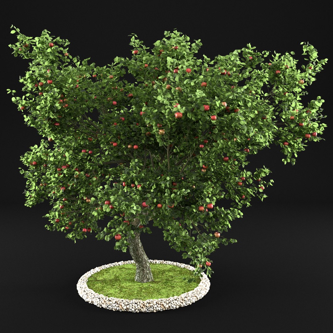 Apple Tree Model - TurboSquid 1159244