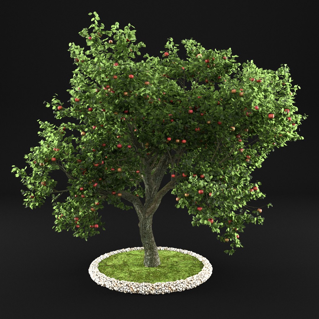 Apple Tree Model - TurboSquid 1159244
