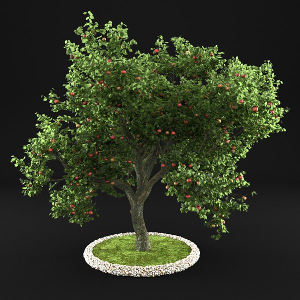 3D model apple tree - TurboSquid 1156197