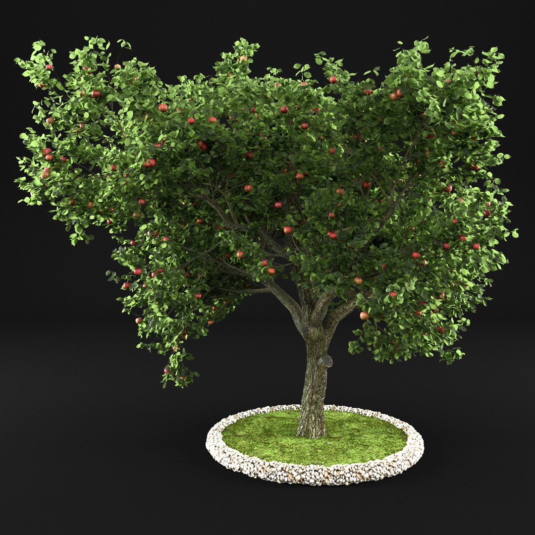 Apple Tree Model - TurboSquid 1159244