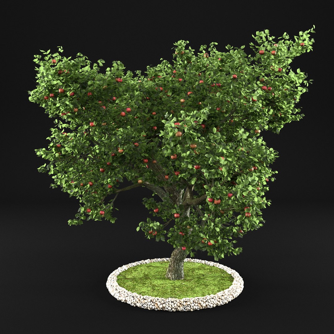 Apple Tree Model - TurboSquid 1159244
