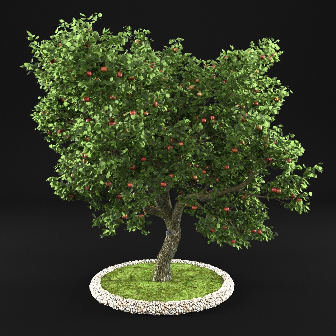 Apple Tree Model - TurboSquid 1159244