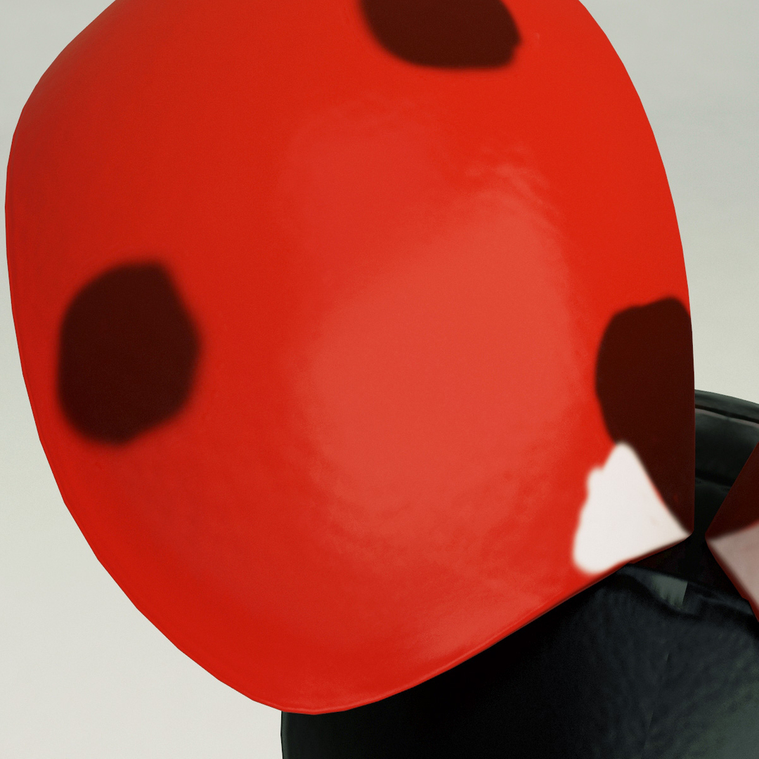 3d ladybug pose2 model
